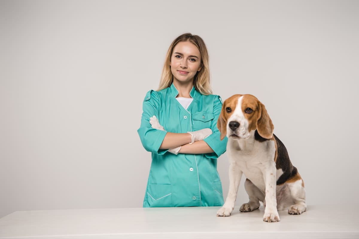 ¿Qué hace un auxiliar de veterinaria?